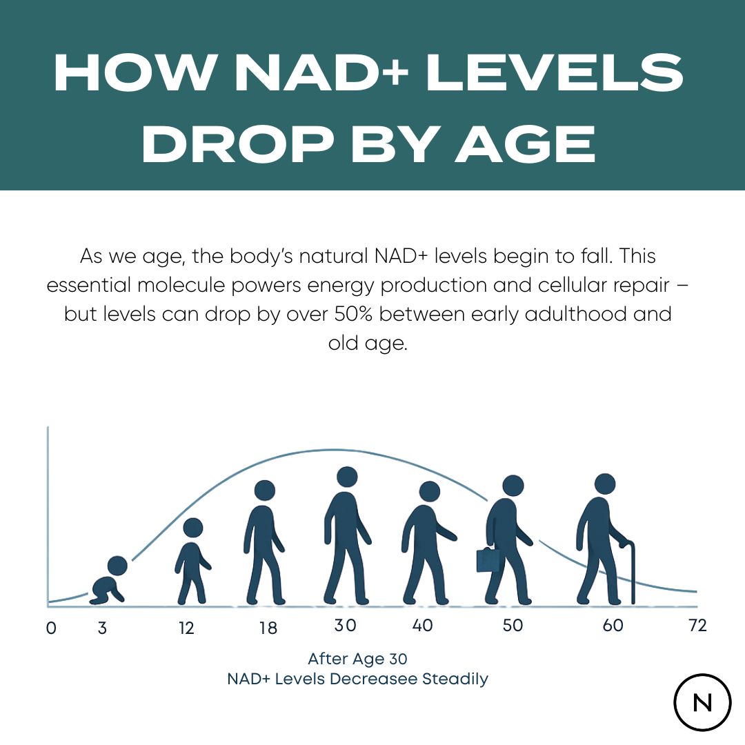 What Is Longevity? | Beginner's Guide to a Healthier Life | Naturecan AU